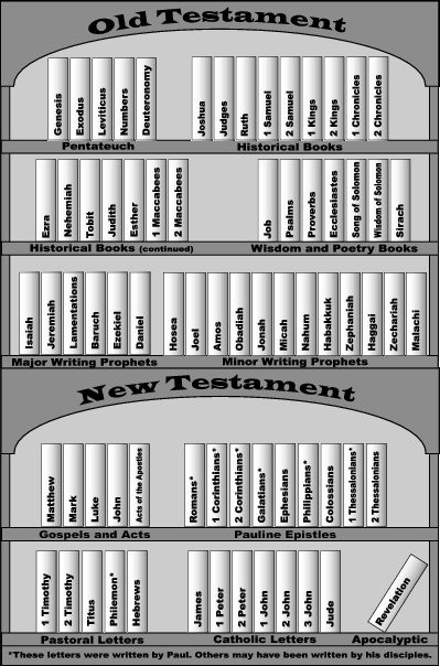 Books Of The Bible Bookshelf Printable Printable Bible